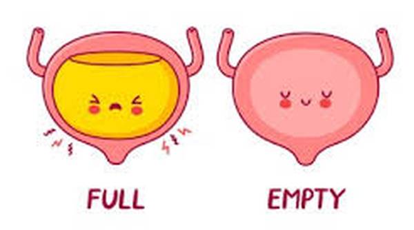 Urinary retention: identify your problem based on your symptoms ...